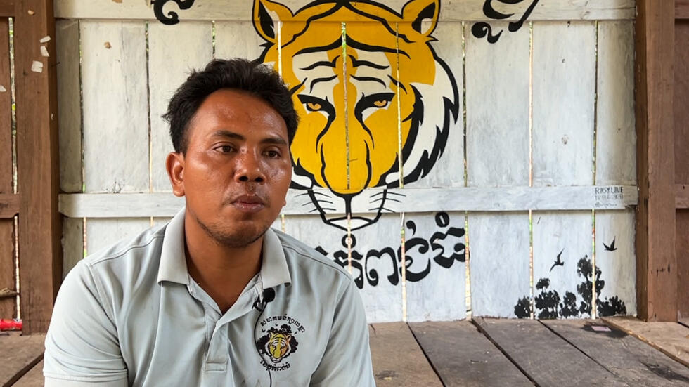 លោក សេង ផល្លី ចាត់ទុកការការពារព្រៃក្បាលខ្លាប្រៀបបាននឹងការថែទាំម្ដាយ|Cambodia News | Khmer News ...